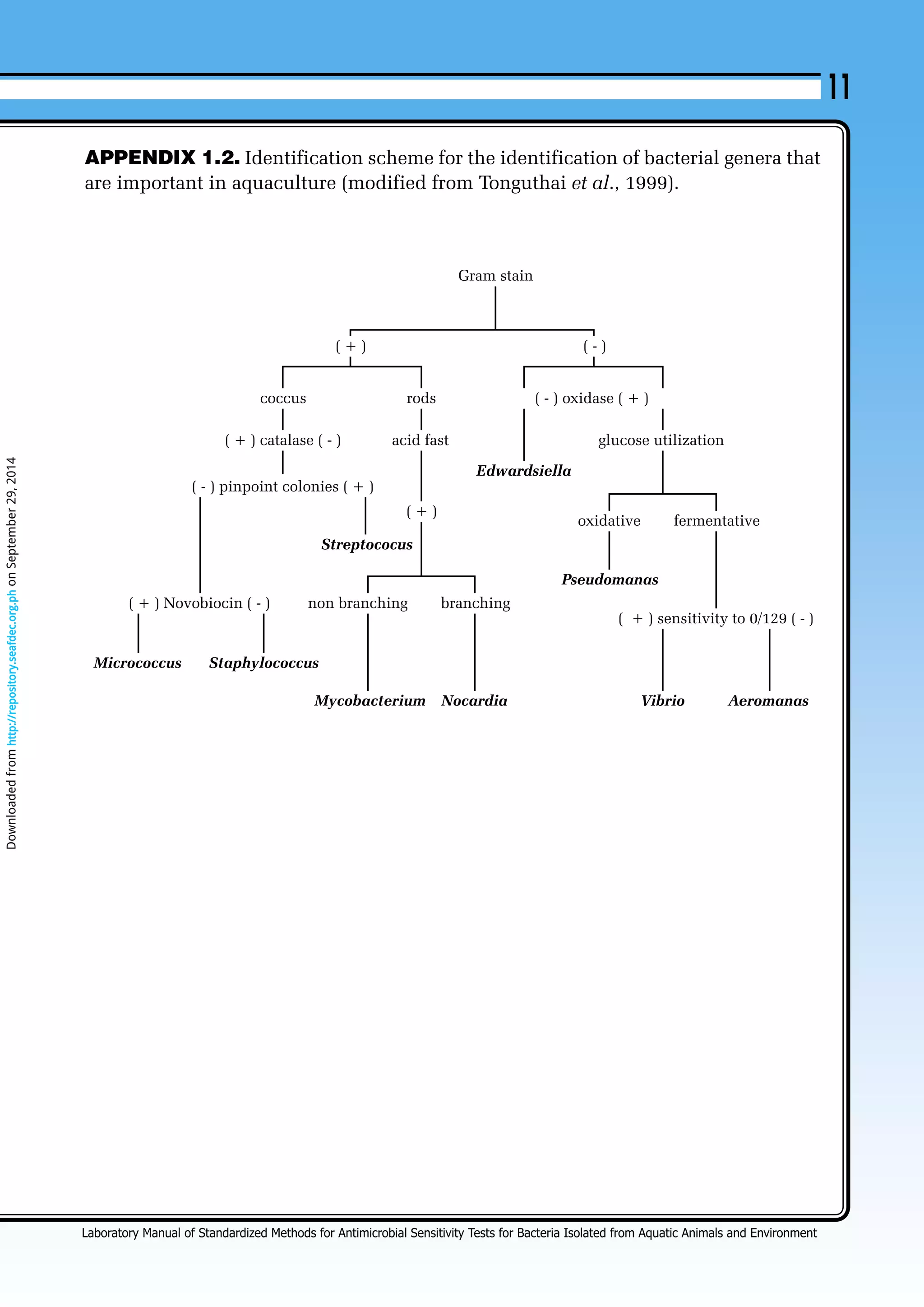 Chapter1 Bacterial Isolation Identification And Storage Pdf