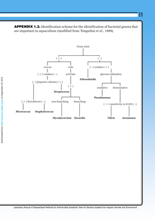 Chapter1 bacterial-isolation-identification-and-storage | PDF