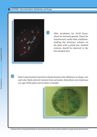 Chapter1 bacterial-isolation-identification-and-storage | PDF