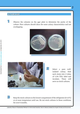 Chapter1 bacterial-isolation-identification-and-storage | PDF
