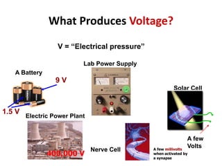 Electric Circuit 1 Chapter 1 Basic Concepts of Circuits | PDF