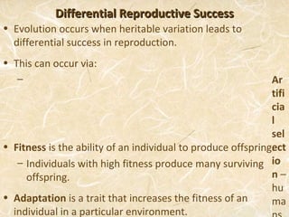 Chapter1 biology+and+the+tree+of+life-1 | PPT