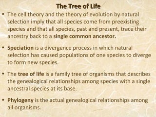Chapter1 biology+and+the+tree+of+life-1 | PPT
