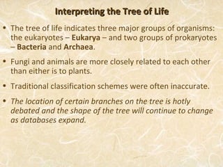 Chapter1 biology+and+the+tree+of+life-1 | PPT