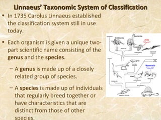 Chapter1 biology+and+the+tree+of+life-1 | PPT