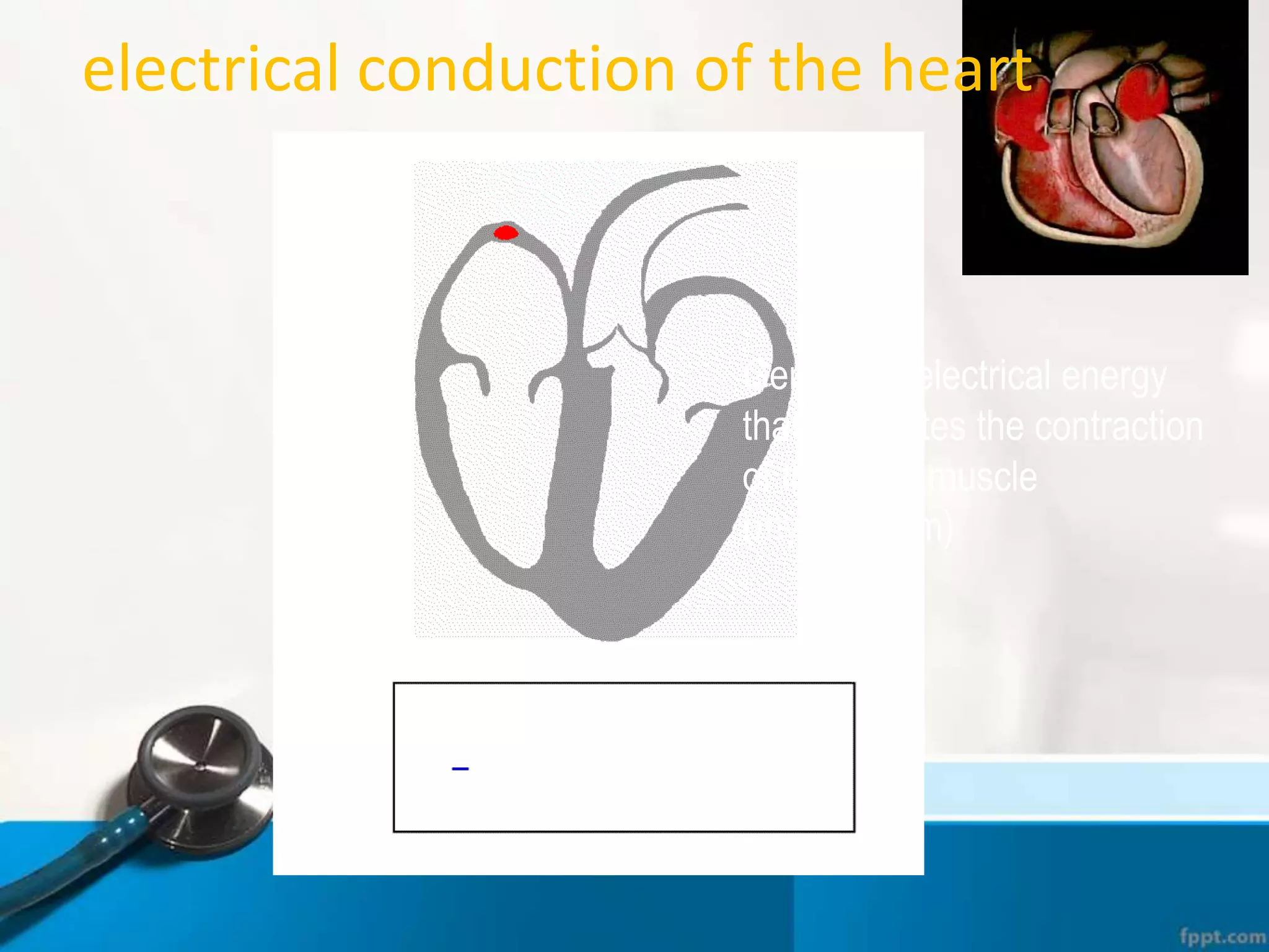 Chapter 1 cardiovascular system | PPTX