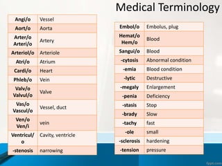 Chapter 1 cardiovascular system | PPTX