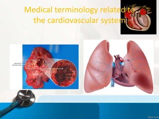 Chapter 1 cardiovascular system | PPTX