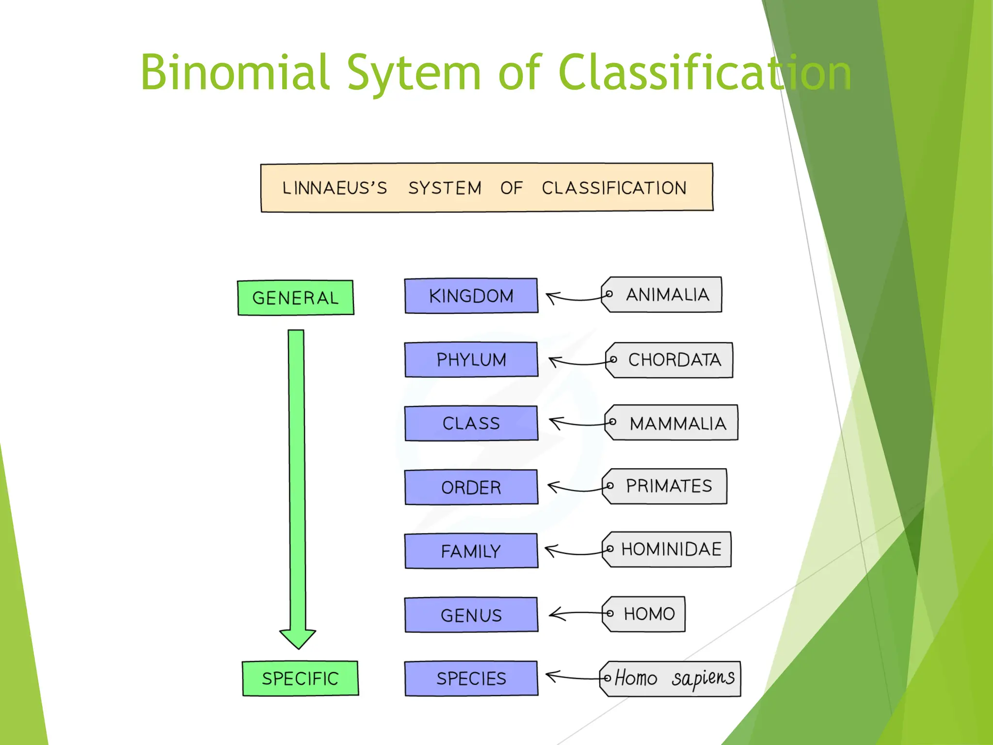 Chapter 1- Characteristics and Classifications of Living Things.pdf