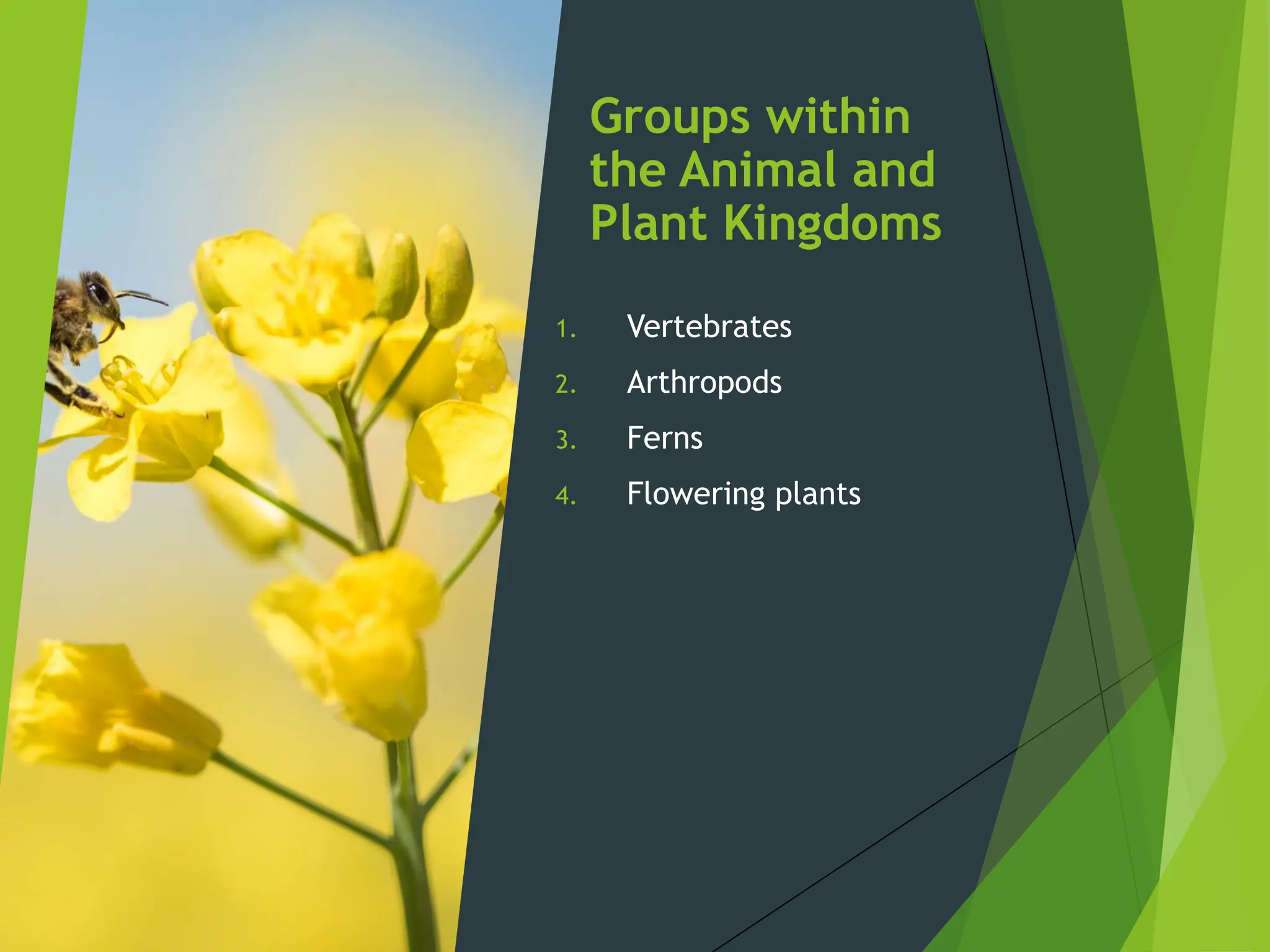 Chapter 1- Characteristics and Classifications of Living Things.pdf