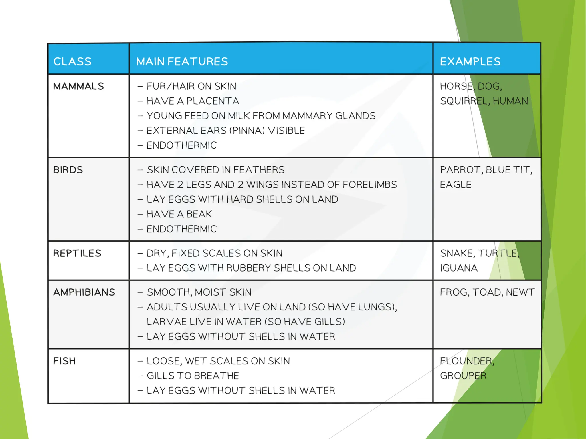 Chapter 1- Characteristics and Classifications of Living Things.pdf