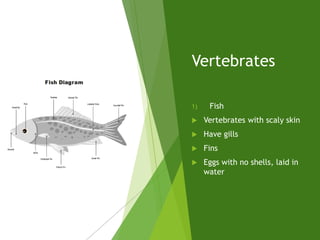 Chapter 1- Characteristics and Classifications of Living Things.pdf