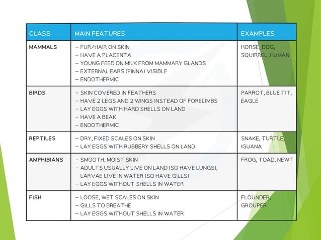 Chapter 1- Characteristics and Classifications of Living Things.pdf