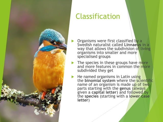 Chapter 1- Characteristics and Classifications of Living Things.pdf