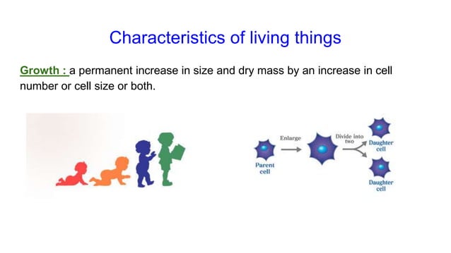 classification grade 9 chapter 3 | PPTX