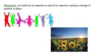 classification grade 9 chapter 3 | PPTX