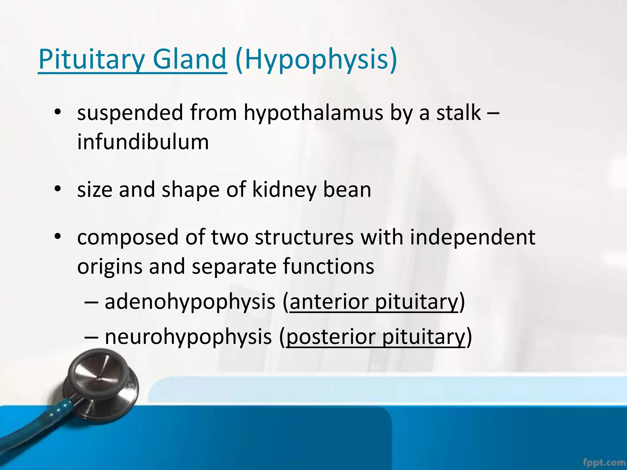 Chapter 1 endocrine system | PPTX