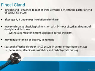 Chapter 1 endocrine system | PPTX