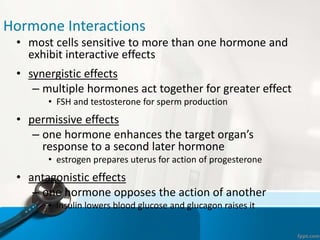 Chapter 1 endocrine system | PPT
