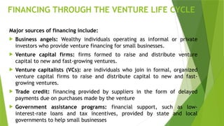 Chapter 1 - Entrepreneurial Finance.pptx