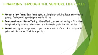 Chapter 1 - Entrepreneurial Finance.pptx