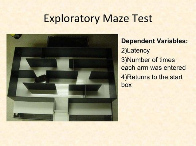 Chapter 1 Exploratory Behavior Profiles | PPT
