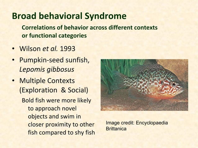 Chapter 1 Exploratory Behavior Profiles | PPT