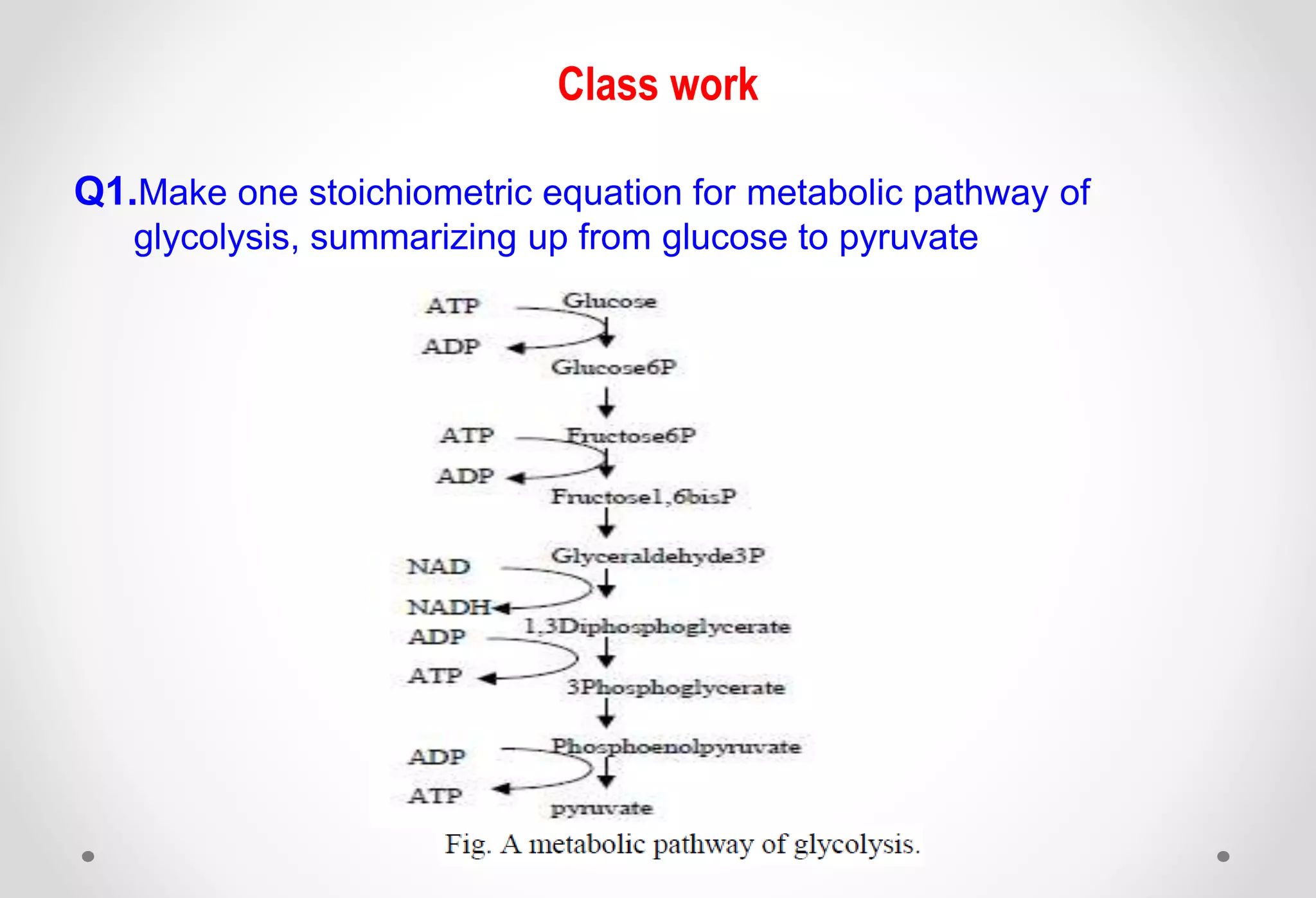 Chapter 1 fundamentals of biochemical engineering | PPTX