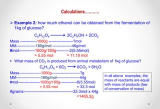 Chapter 1 fundamentals of biochemical engineering | PPTX | Biotech and ...