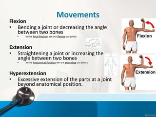 Chapter 1 General Anatomy | PPTX