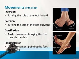 Chapter 1 General Anatomy | PPTX