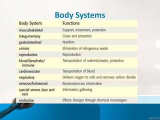 Chapter 1 General Anatomy | PPT