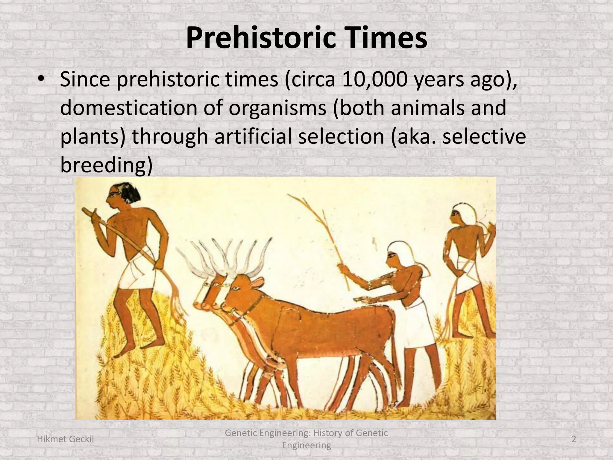 Genetic Engineering: Chapter 1- History of Genetic Engineering | PDF