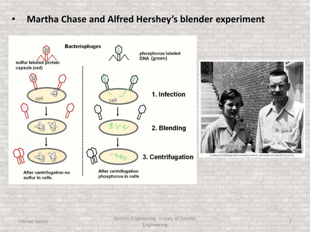 Genetic Engineering: Chapter 1- History of Genetic Engineering | PDF