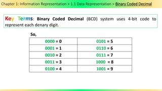 Chapter 1 - Information Representation.pdf
