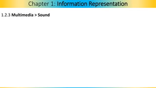 Chapter 1 - Information Representation.pdf