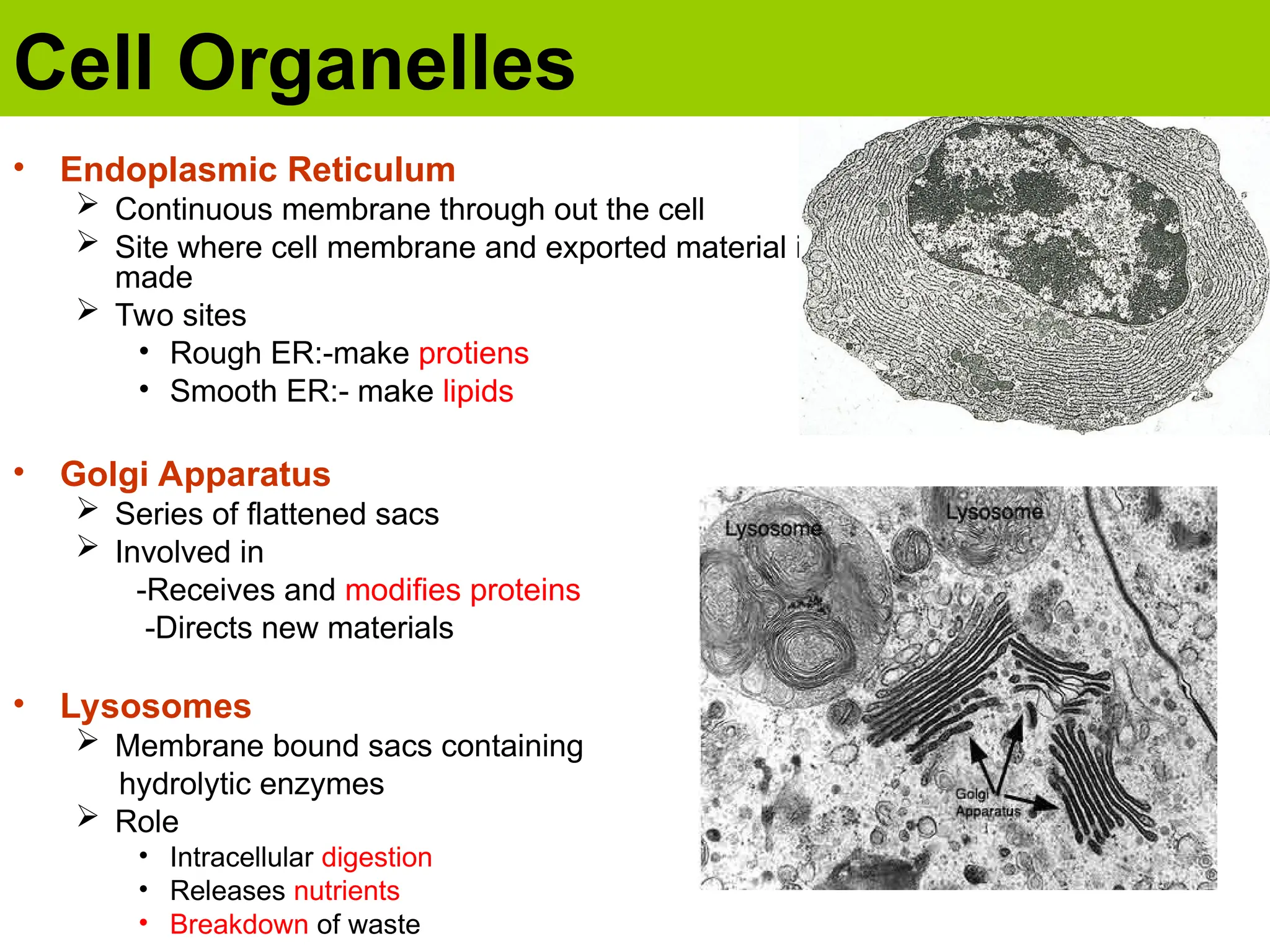 Chapter 1 one class note-Introduction.ppt