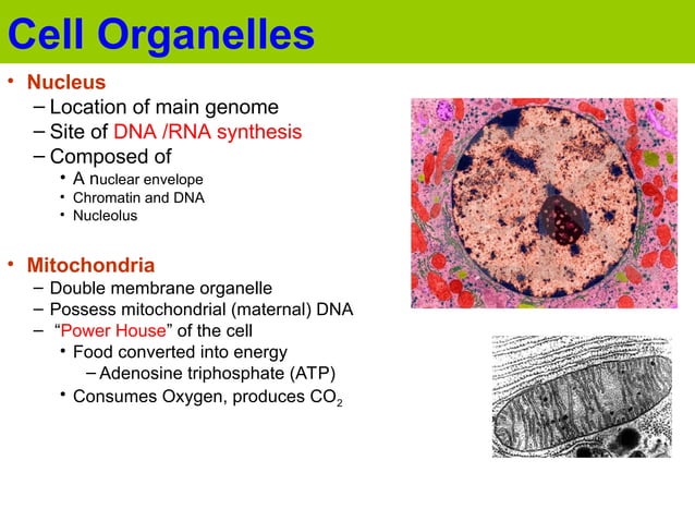 Chapter 1 one class note-Introduction.ppt