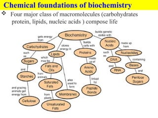 Chapter 1 one class note-Introduction.ppt