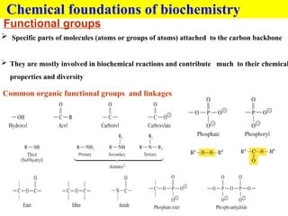 Chapter 1 one class note-Introduction.ppt