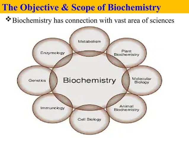 Chapter 1 one class note-Introduction.ppt