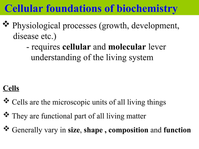 Chapter 1 one class note-Introduction.ppt