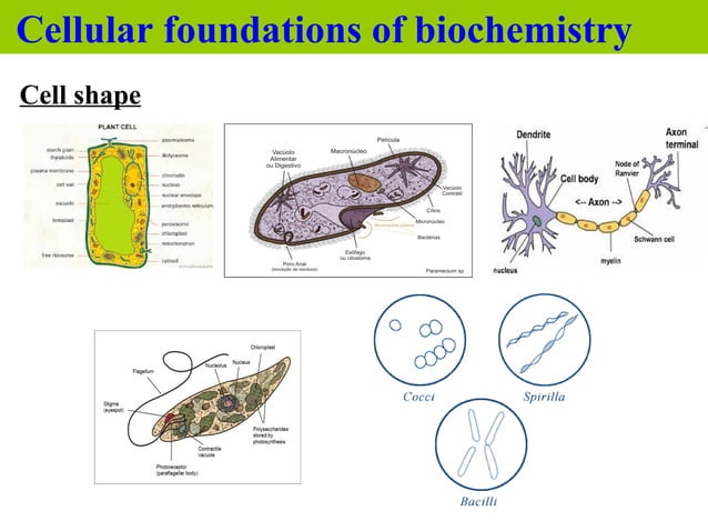 Chapter 1 one class note-Introduction.ppt