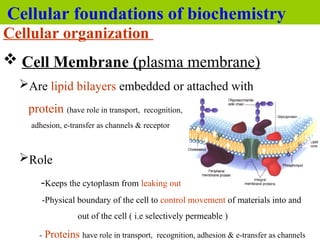 Chapter 1 one class note-Introduction.ppt