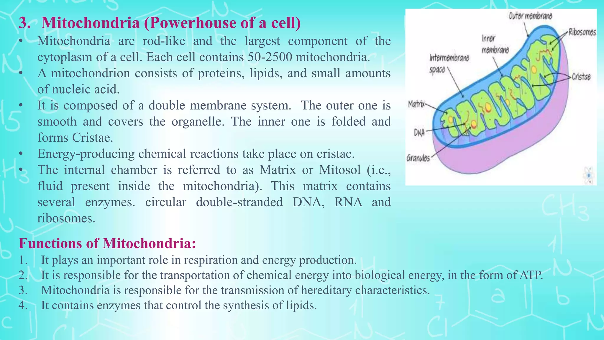 Introduction to Biochemistry | PPTX