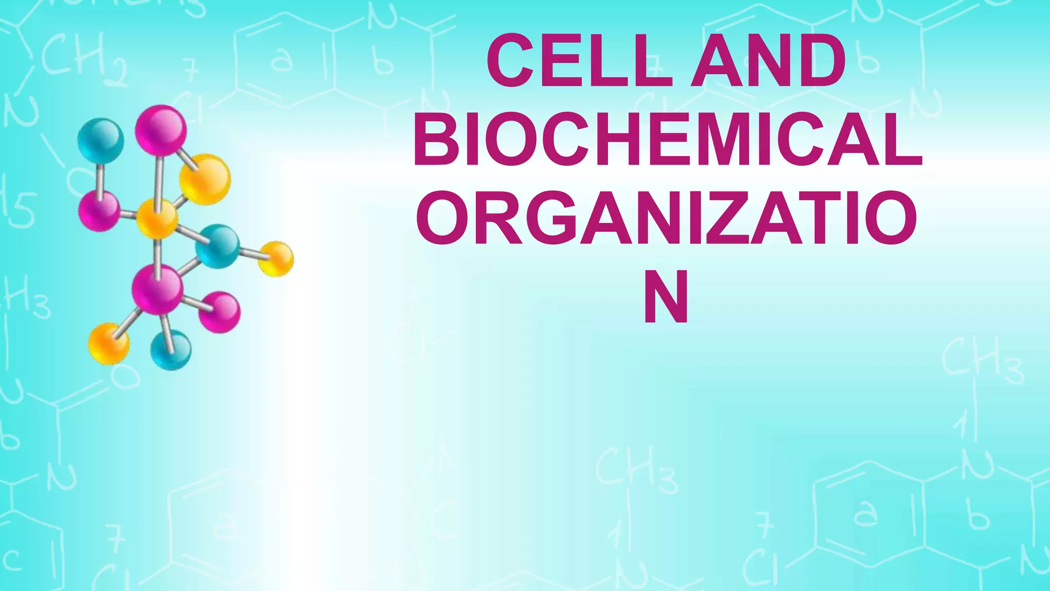 Introduction to Biochemistry | PPTX