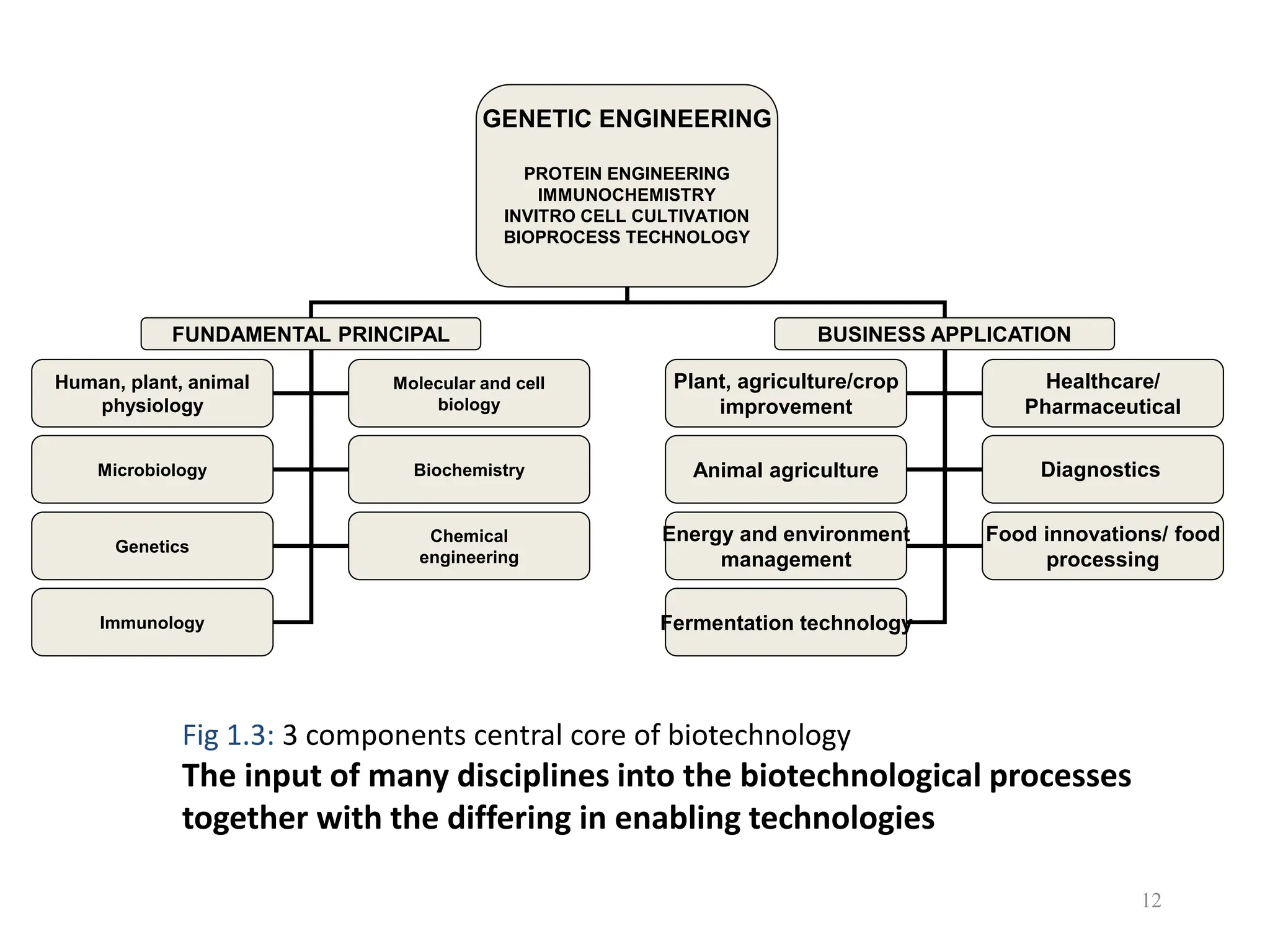 Chapter 1-Introduction to biotechnology_16172.pptx