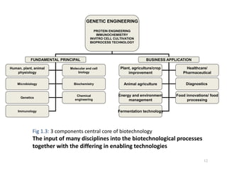 Chapter 1-Introduction to biotechnology_16172.pptx