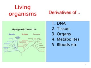 Chapter 1-Introduction to biotechnology_16172.pptx