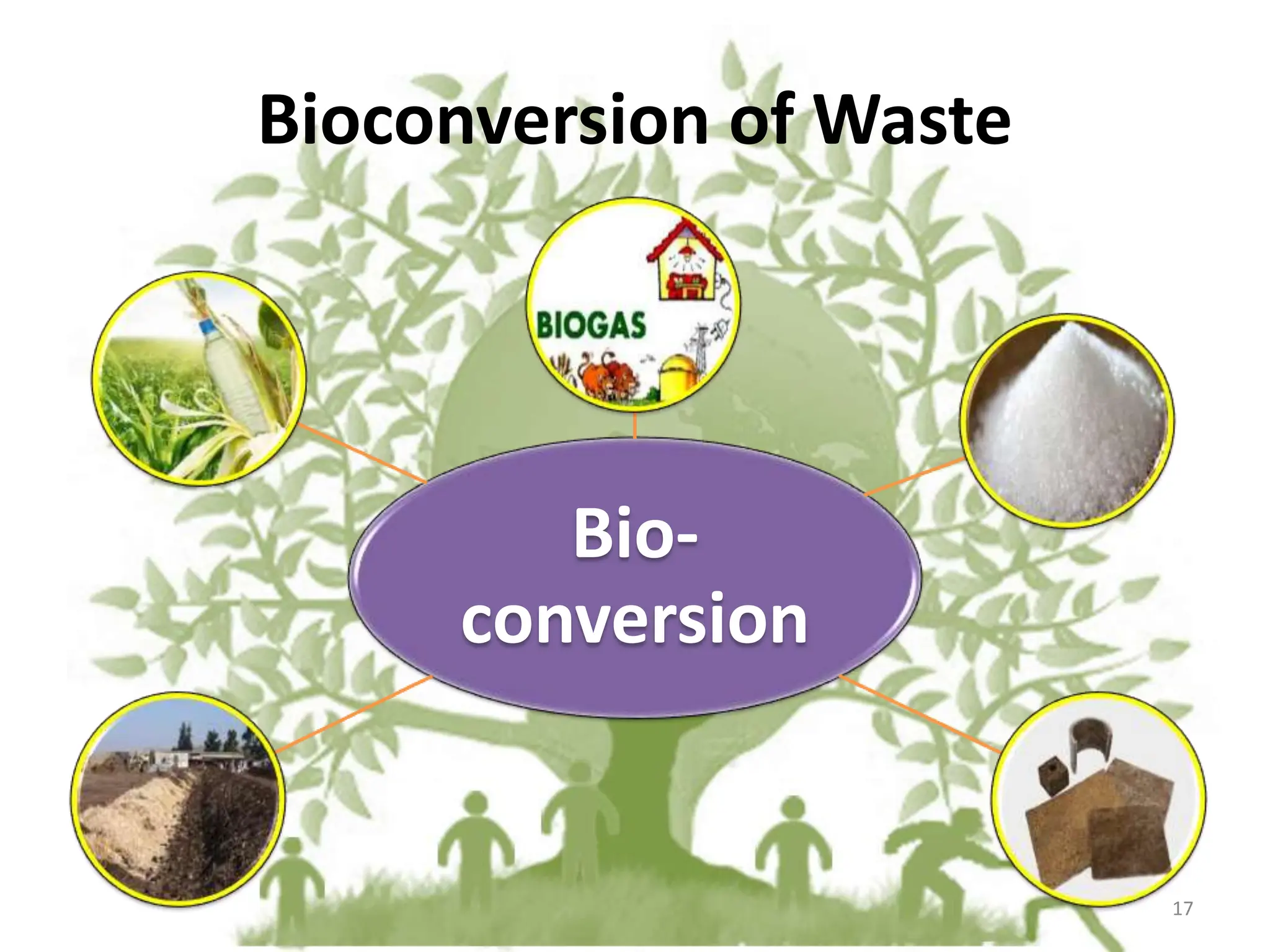CHAPTER 1 - Introduction to Environmental Biotechnology.pptx